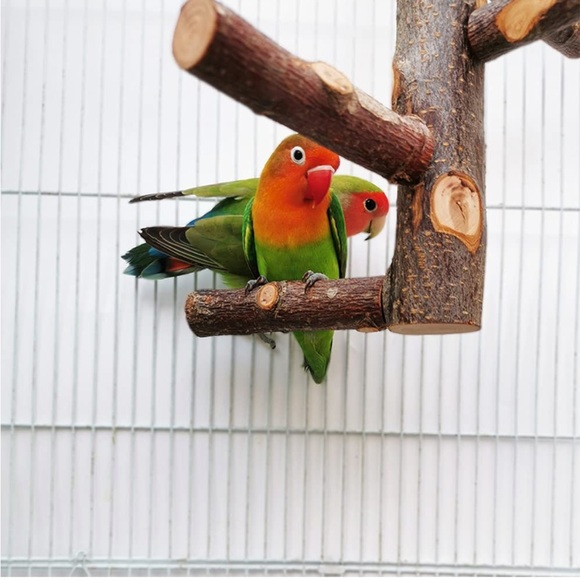 Bird | Natural Wood Bird Toys Parrot Perch Parakeet Stand Platform For ...